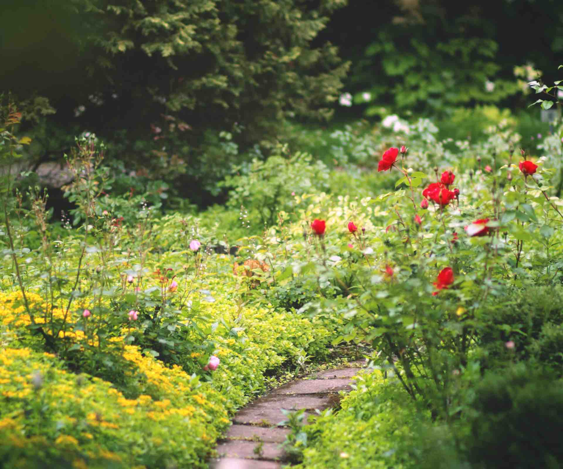 Creating a Sustainable Wild Garden - A Comprehensive Guide | Urban Wild ...