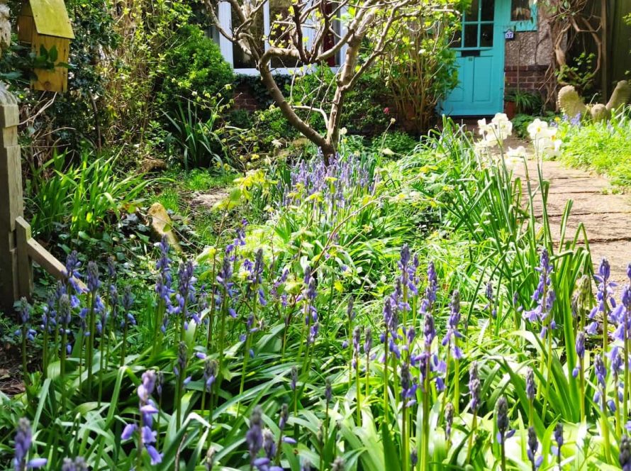 The Art of Wild Garden Design | Urban Wild Garden