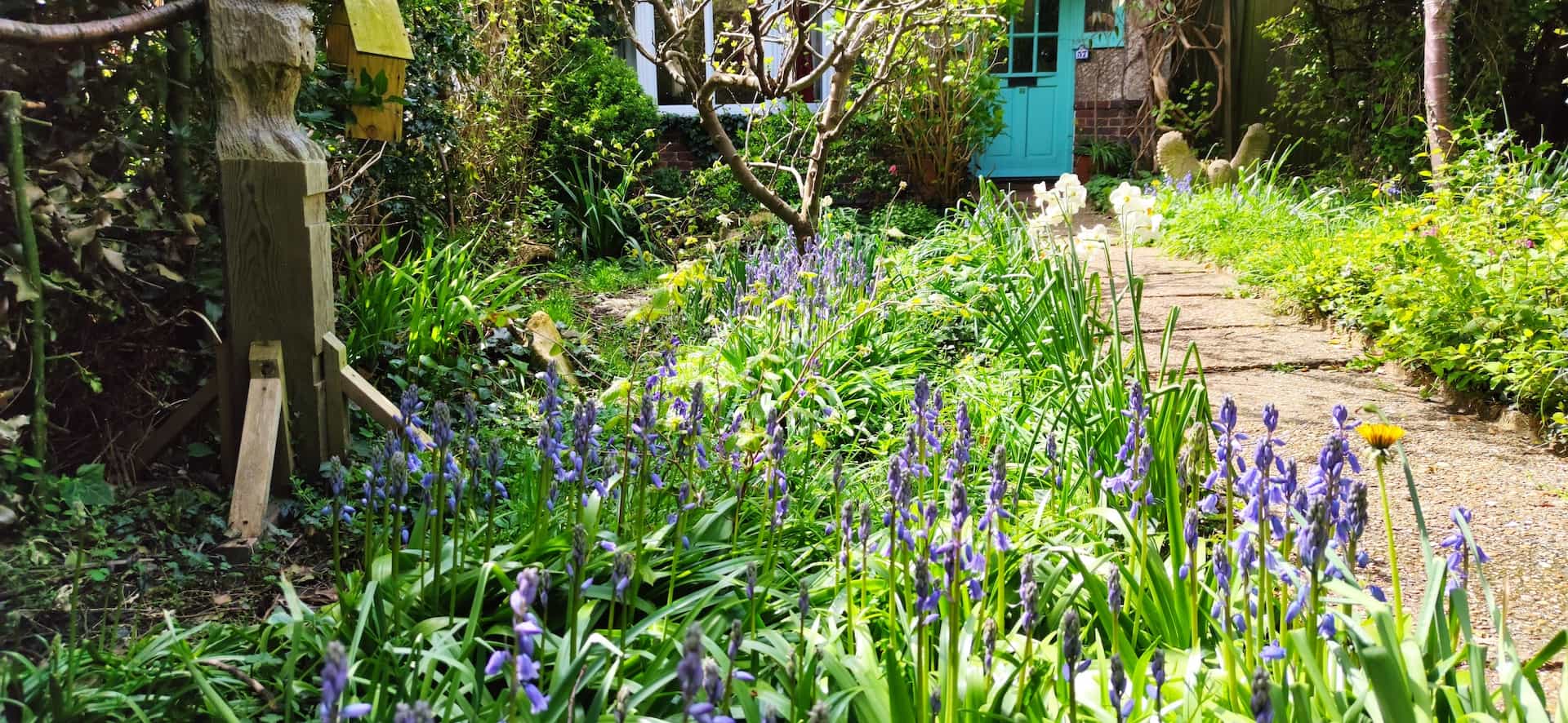 Top Benefits of Rewilding Your Garden | Urban Wild Garden