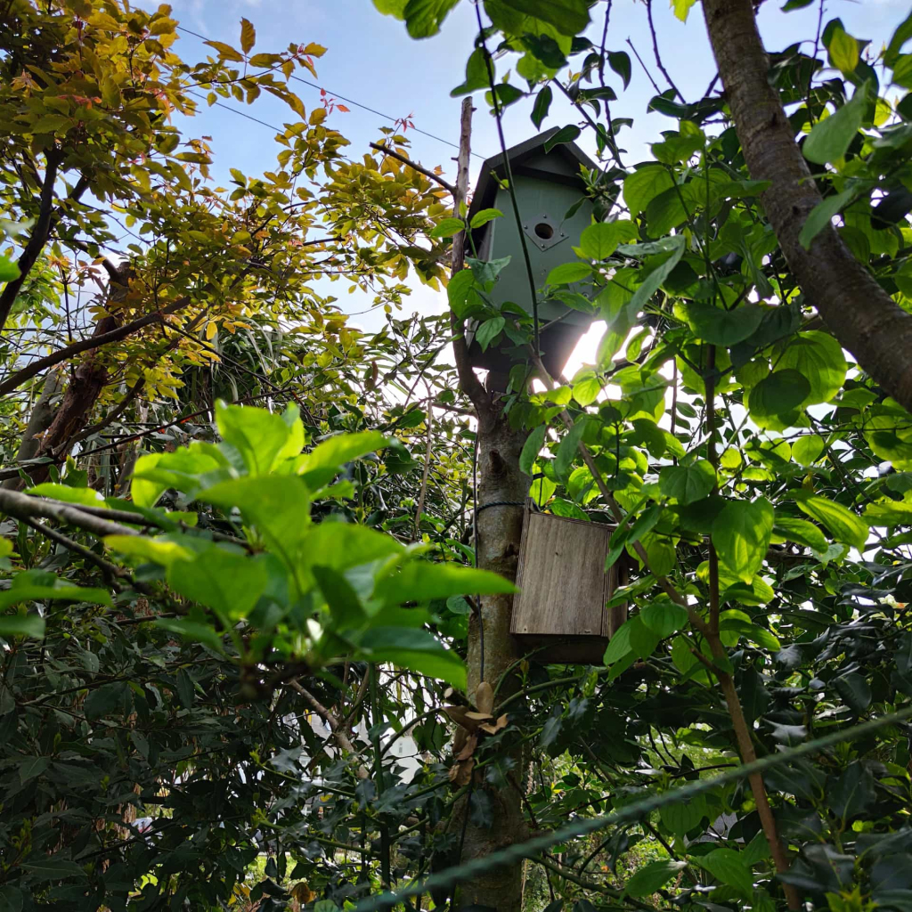 The Role of Landscape Designers in Rewilding Urban Spaces | Urban Wild ...